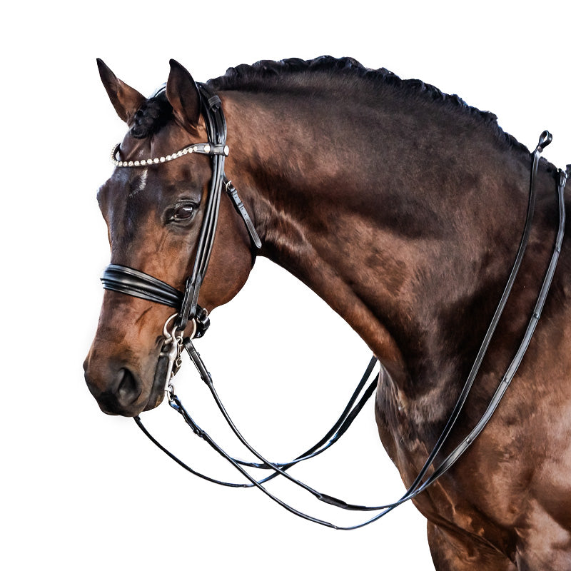 LT AntiGravity Double Bridle – Lara Tweedie Equestrian