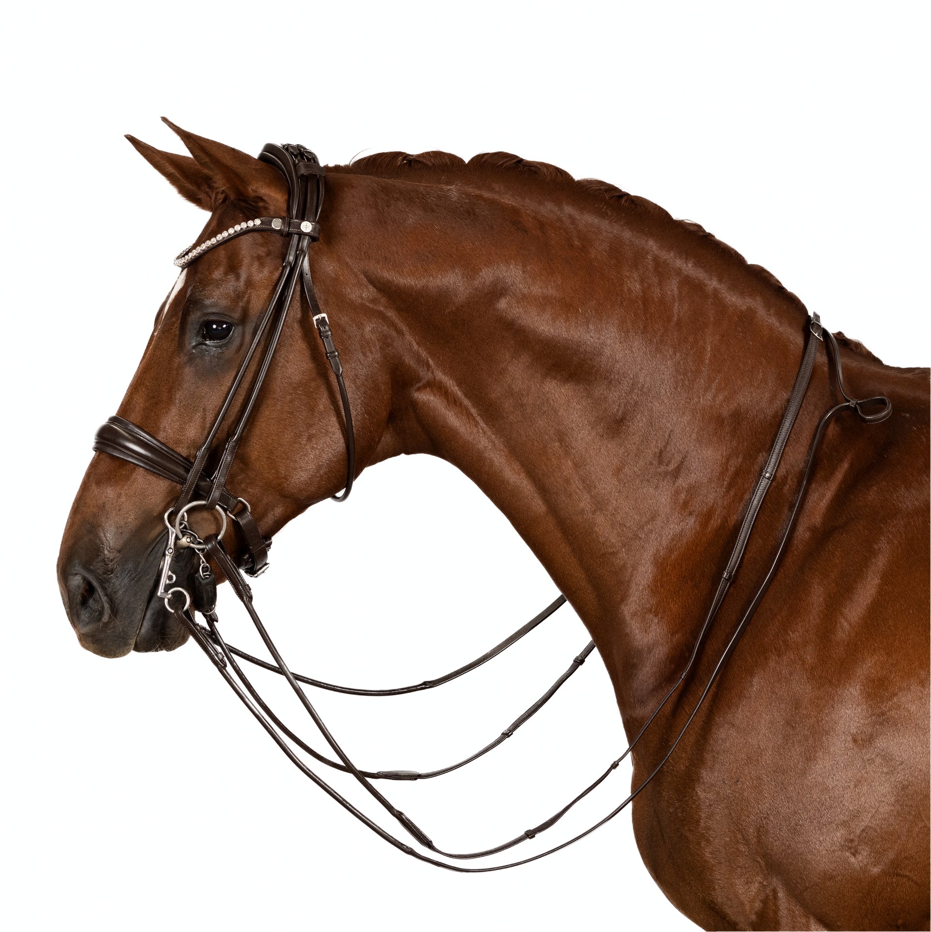 DOUBLE BRIDLES – Lara Tweedie Equestrian