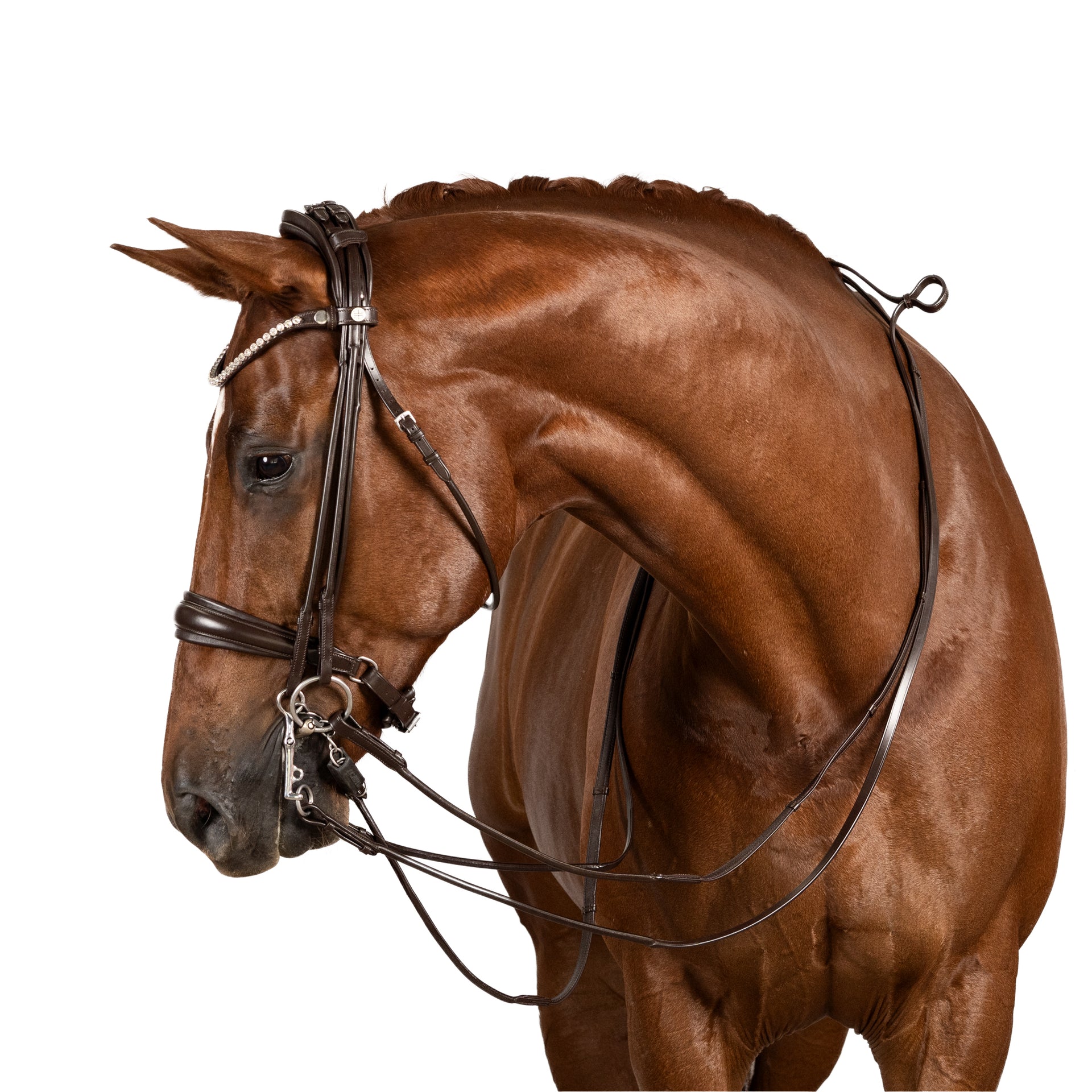 DOUBLE BRIDLES – Lara Tweedie Equestrian