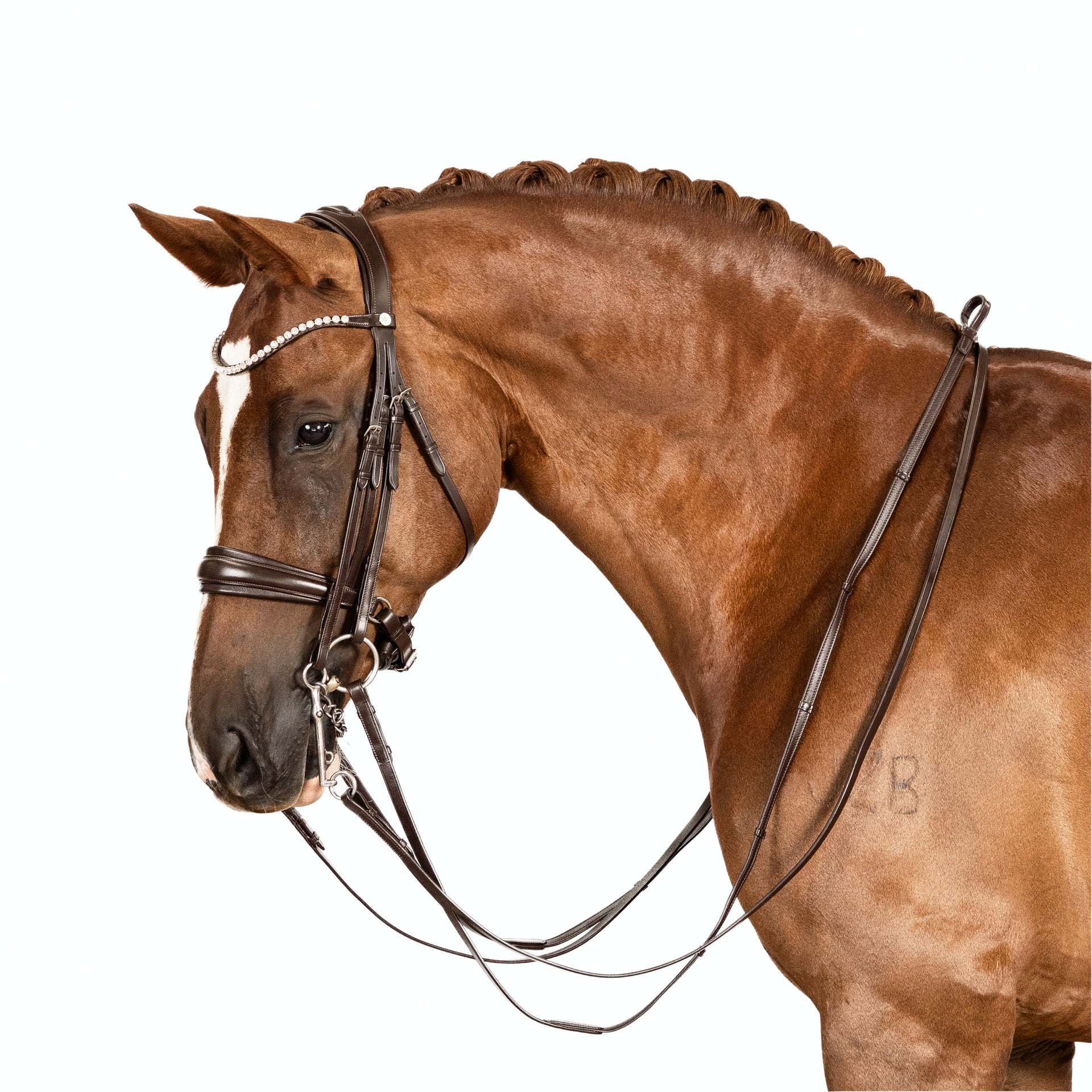 BUILD A BRIDLE – Lara Tweedie Equestrian